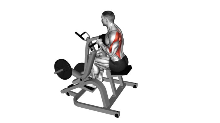 Plate Loaded Lever Single Arm Seated Row - Video Guide & Tips