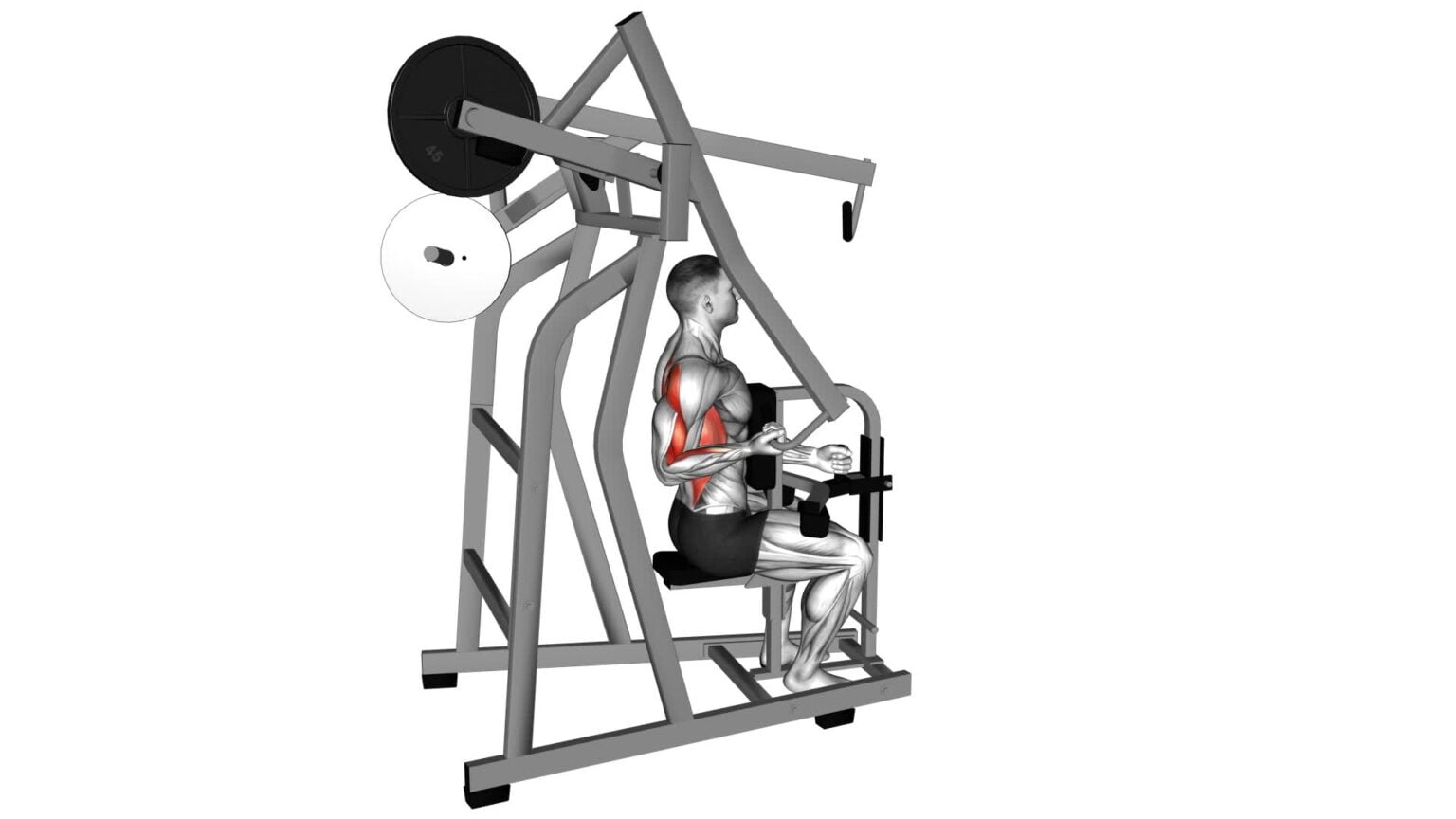Plate Loaded Lever Single Arm Seated Row - Video Guide & Tips
