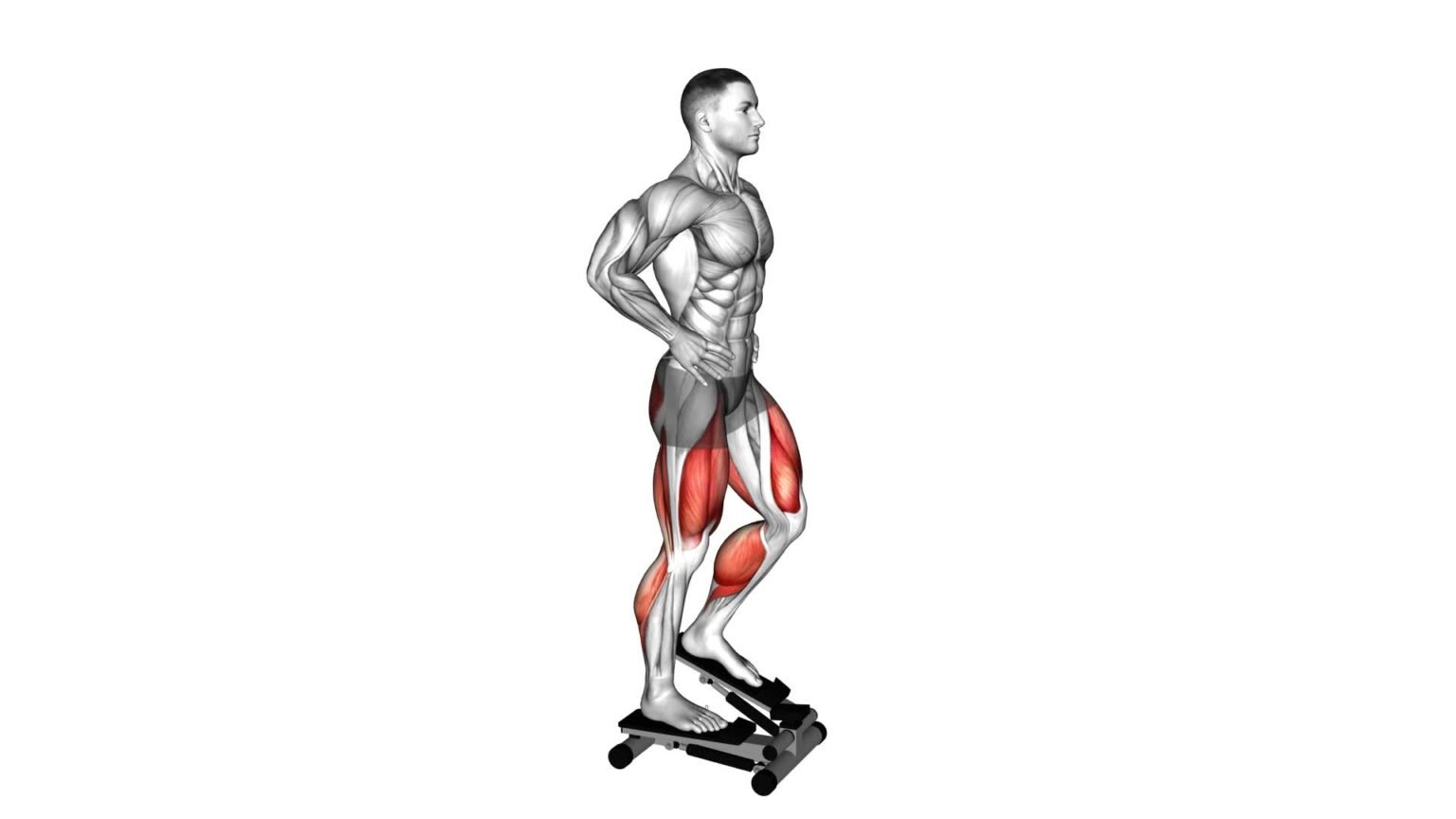 Female Lever Step: Video Exercise Guide & Tips For Maximum Impact