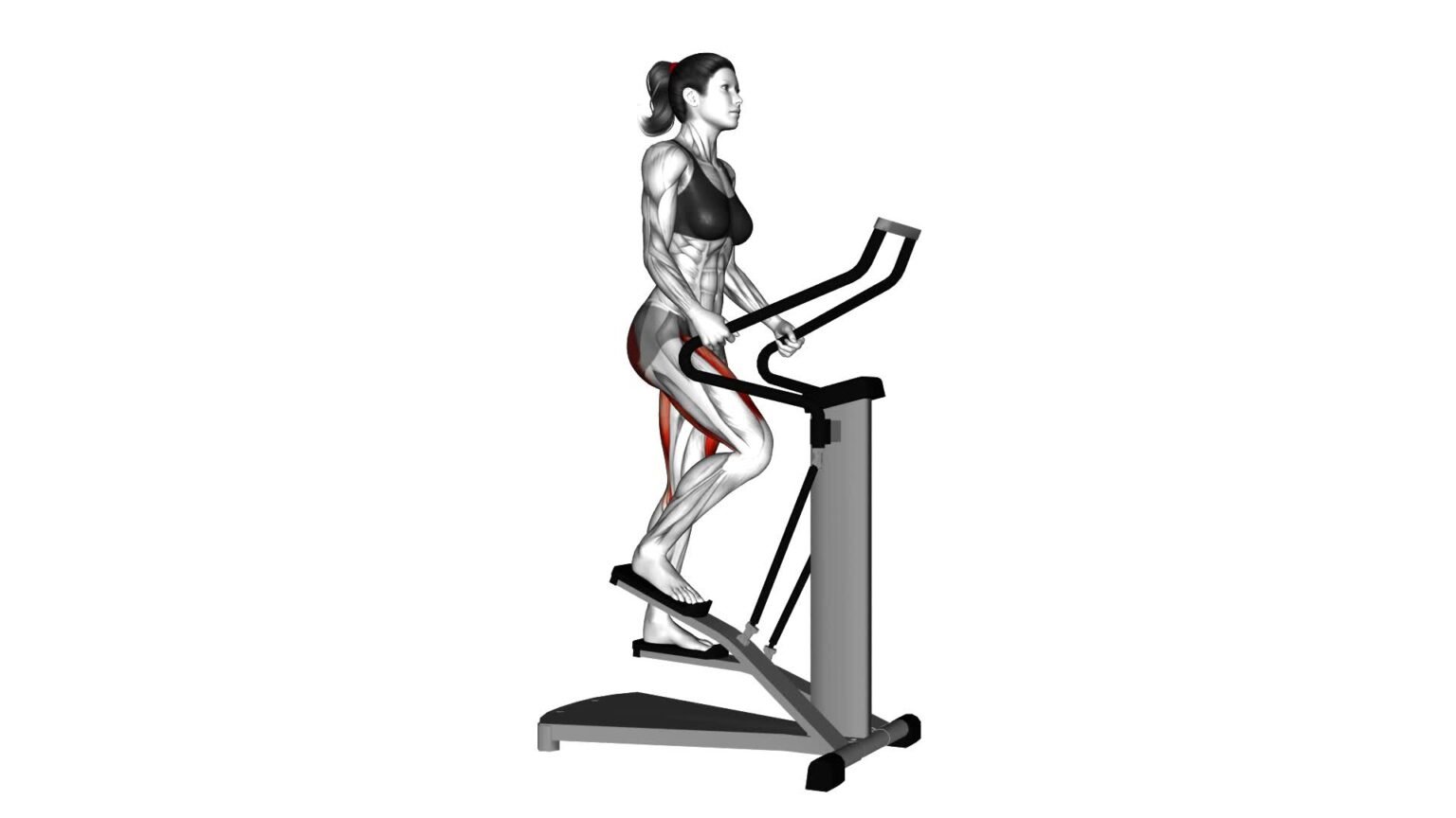 Master The Lever Stepper: Video Guide & Tips For Effective Exercise