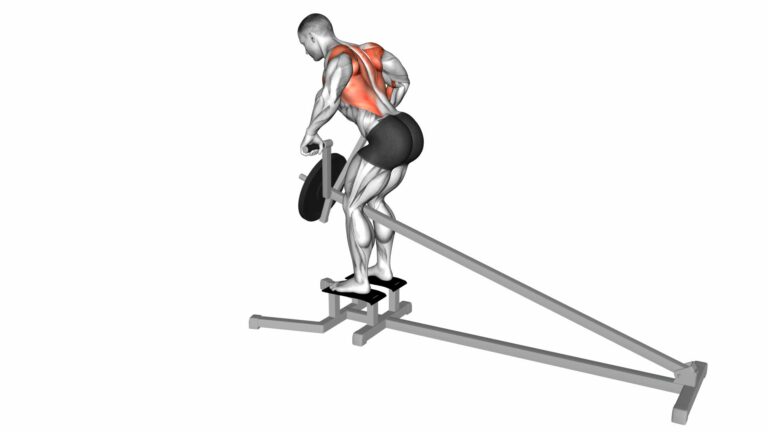 Lever T-bar Row: Ultimate Guide & Tips