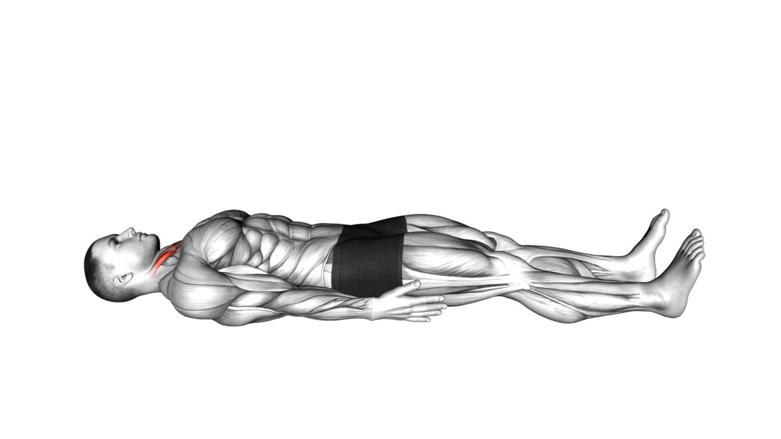 Improve Posture With Lying Chin Tucks - Video Guide & Tips