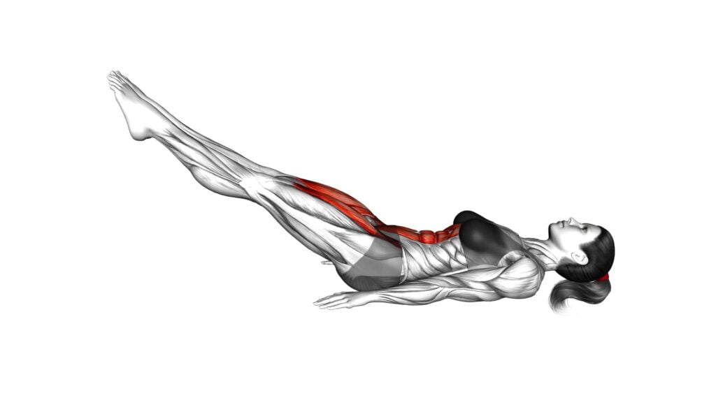 Lying Leg Raise And Hold (Female) - Exercise Guide & Tips