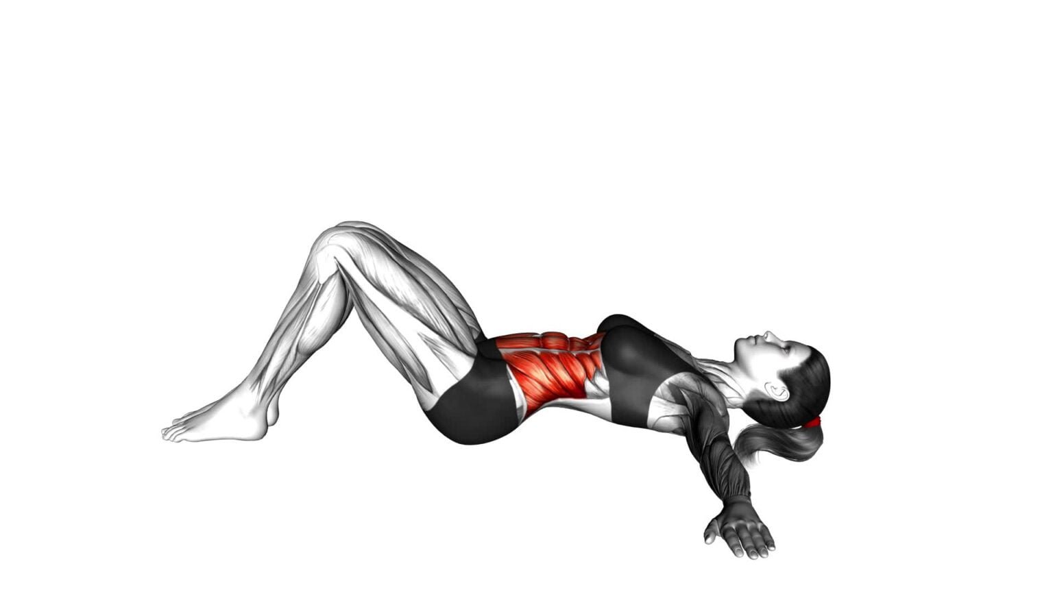 Lying Lower Back Stretch (Bent Knee) (Female) - Video Exercise Guide ...