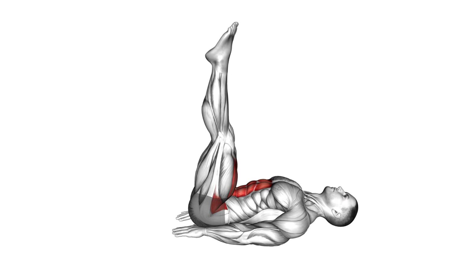 Lying Single Leg Raise (Female) - Exercise Guide & Tips