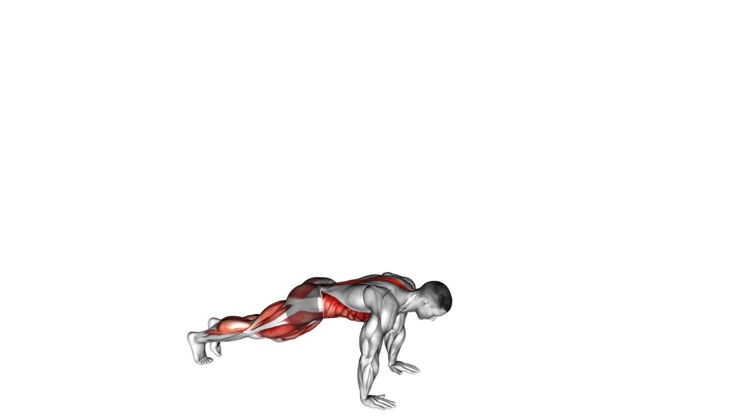 Mountain Climber Burpee (male) - Exercise Guide & Tips