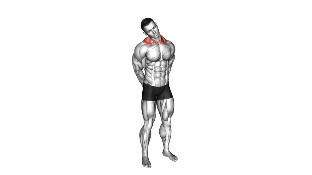 Neck Side Stretch - Exercise Guide & Tips