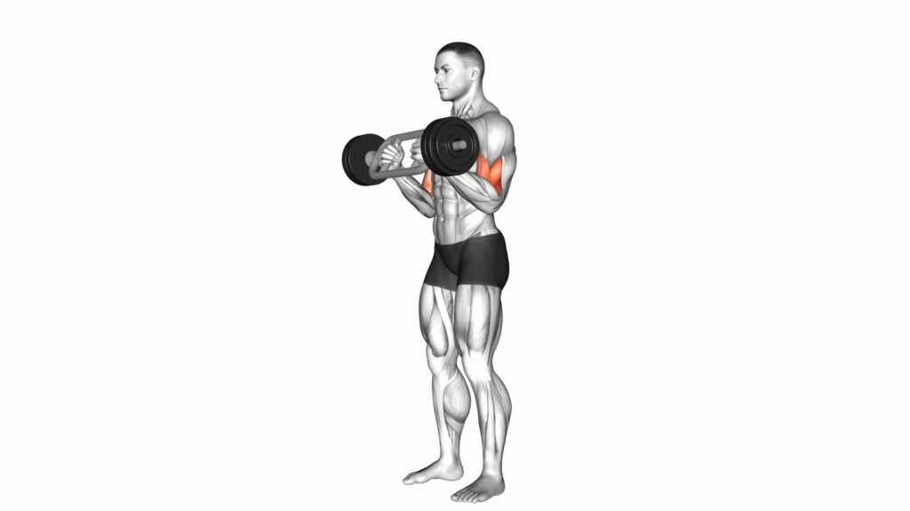 Olympic Barbell Hammer Curl: Video Guide & Tips