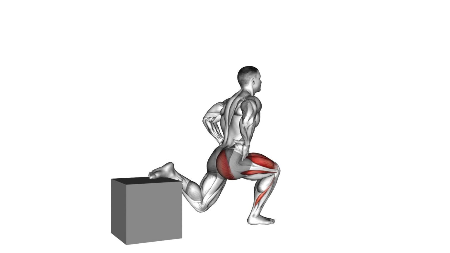 One Leg Squat: Ultimate Exercise Guide & Tips