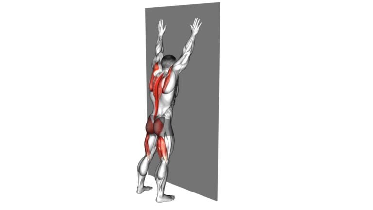 Opposite Arm And Leg Raise Against Wall - Male Exercise Guide & Tips