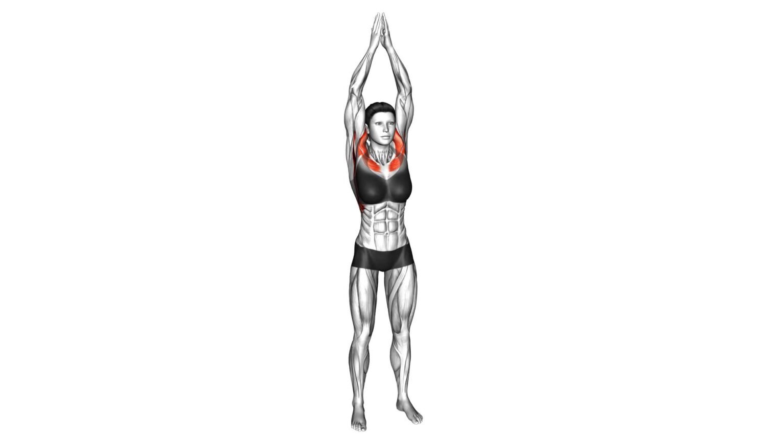 Overhead Clap (Female) - Video Guide & Tips For Effective Exercise
