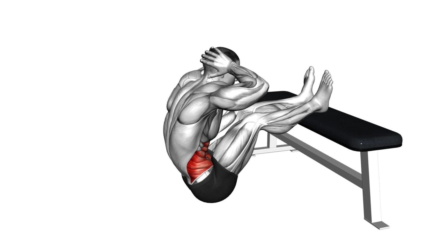 Overhead Sit-Up: Bench Leg Variation (Male) - Video Guide & Tips