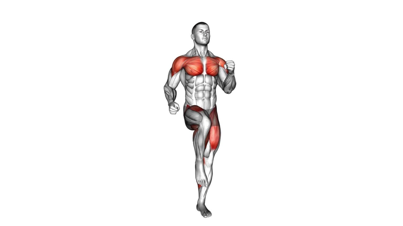 Jog (Male) - Ultimate Video Exercise Guide & Tips For Optimal Fitness