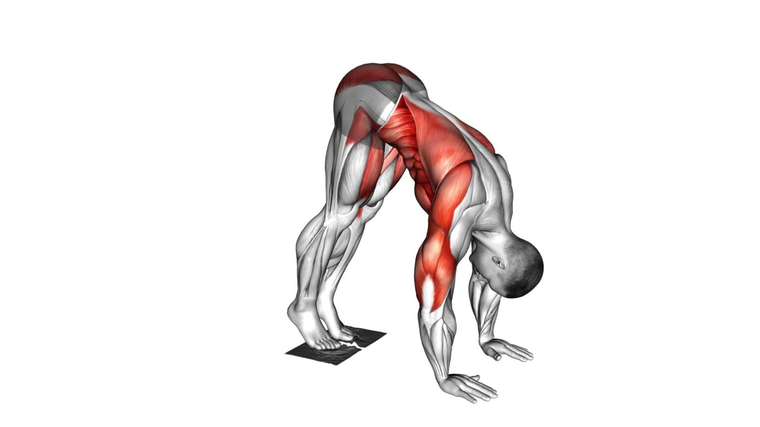 Plank To Pike: Ultimate Video Exercise Guide & Tips