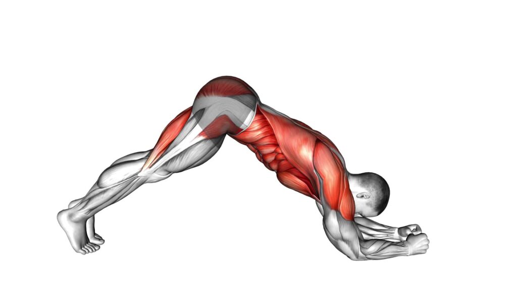 Plank To Pike: Ultimate Video Exercise Guide & Tips