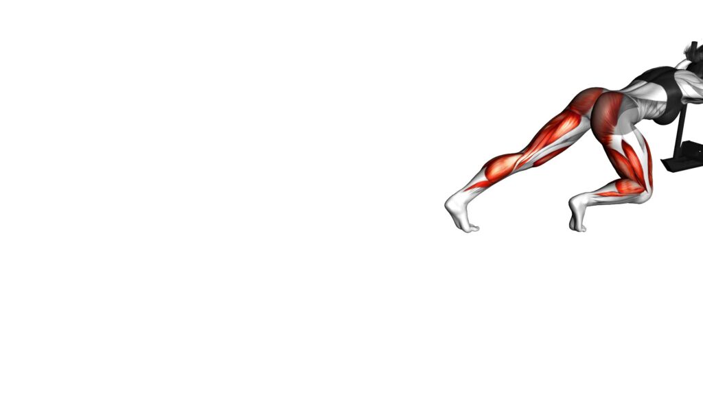 Power Sled Push (female): Ultimate Exercise Guide & Tips