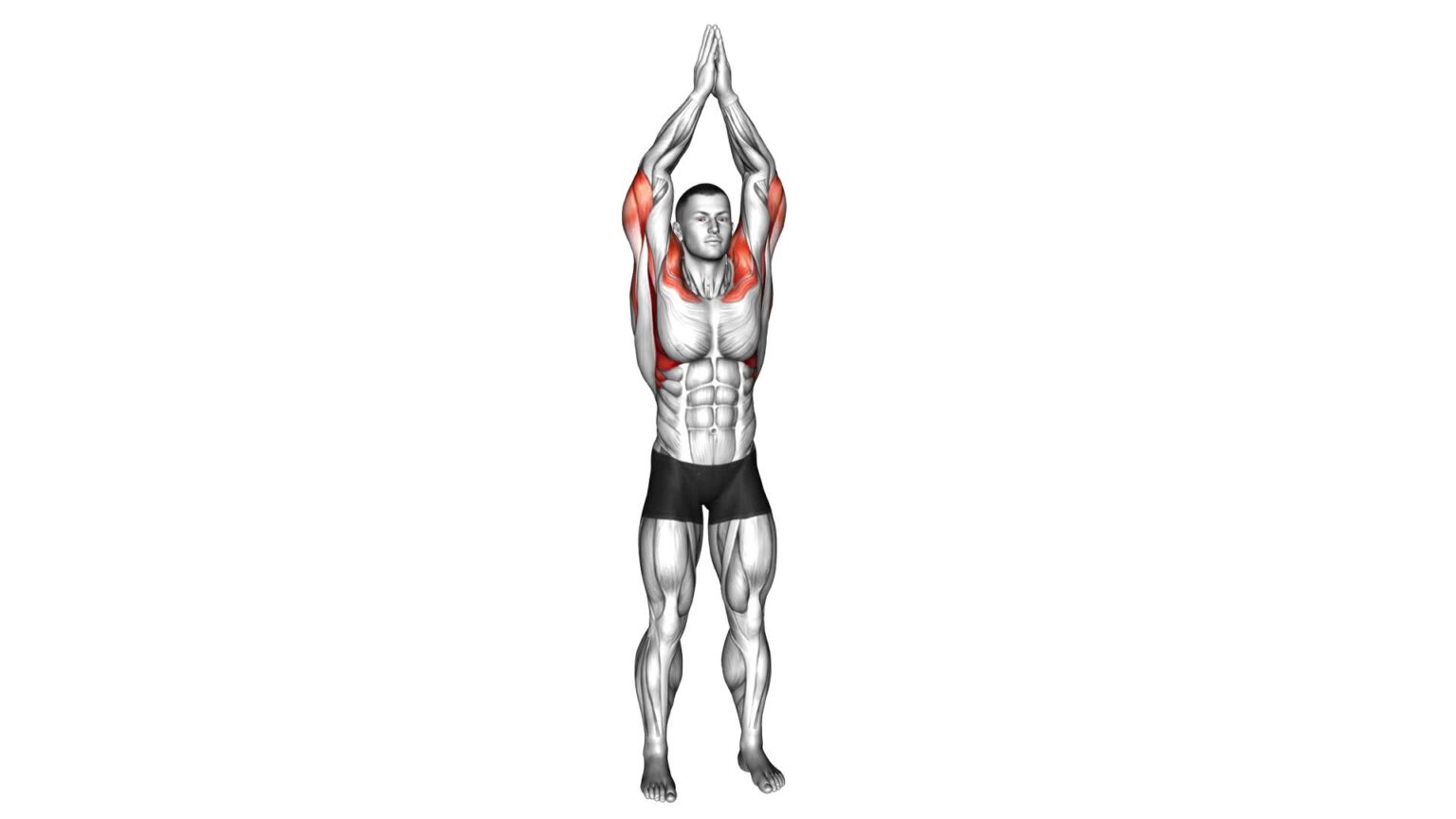 Shoulders Exercises - Workout Guru