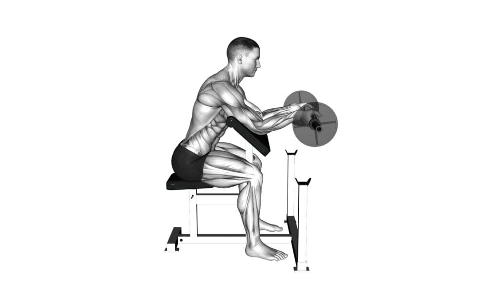 Preacher Curl: Correcting Wrists For Maximum Results - Video Guide & Tips
