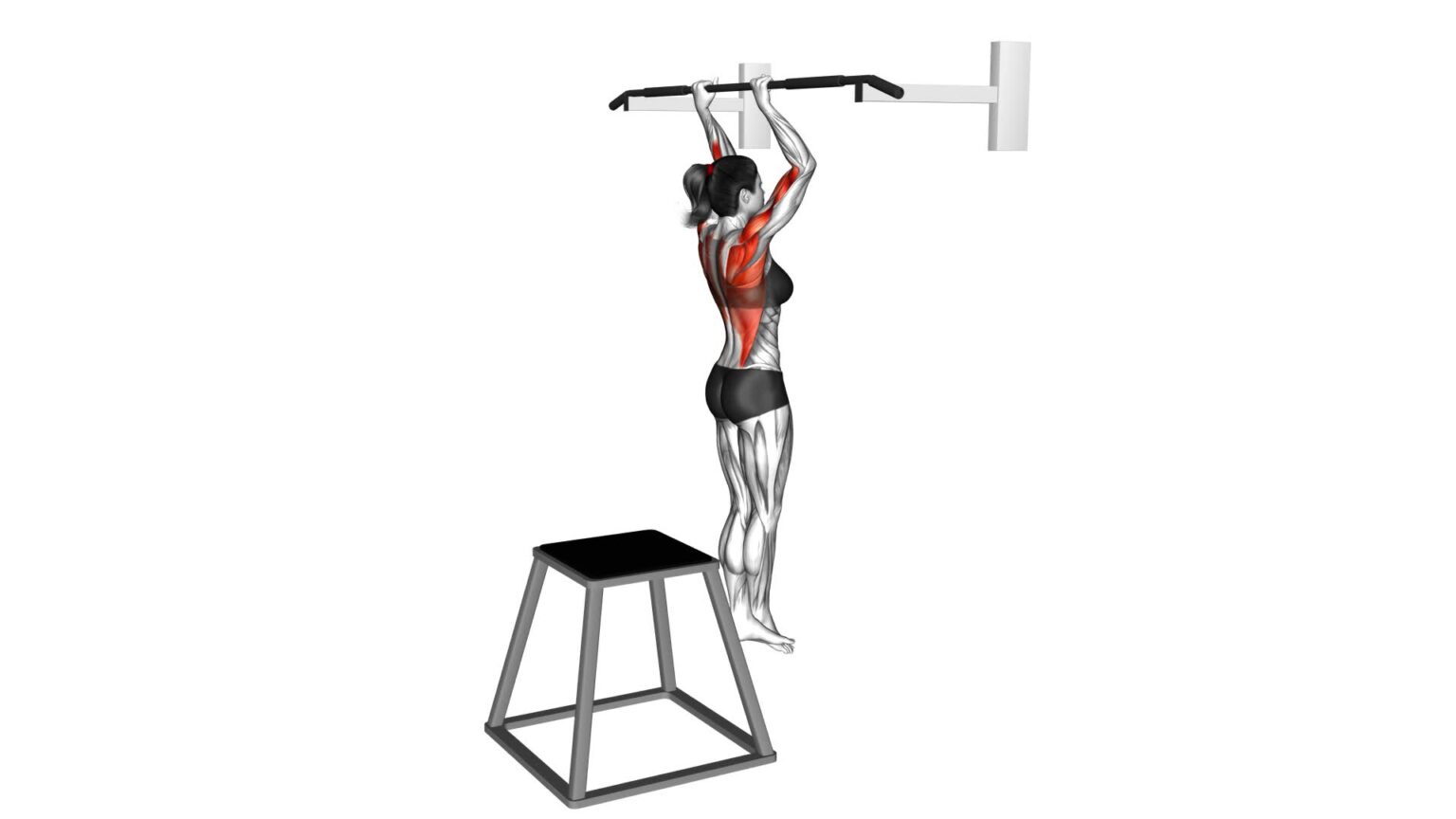 Negative Dragon Flag (female) - Exercise Guide & Tips