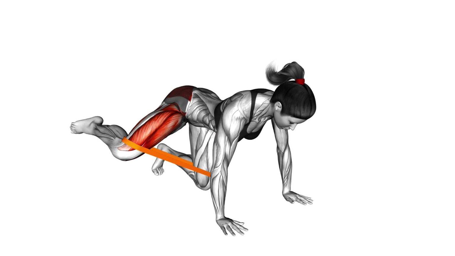 Resistance Band Bent Leg Side Kick - Video Exercise Guide & Tips