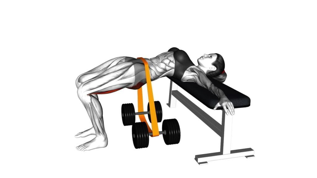 Resistance Band Seated Hip Abduction (female) - Video Exercise Guide ...