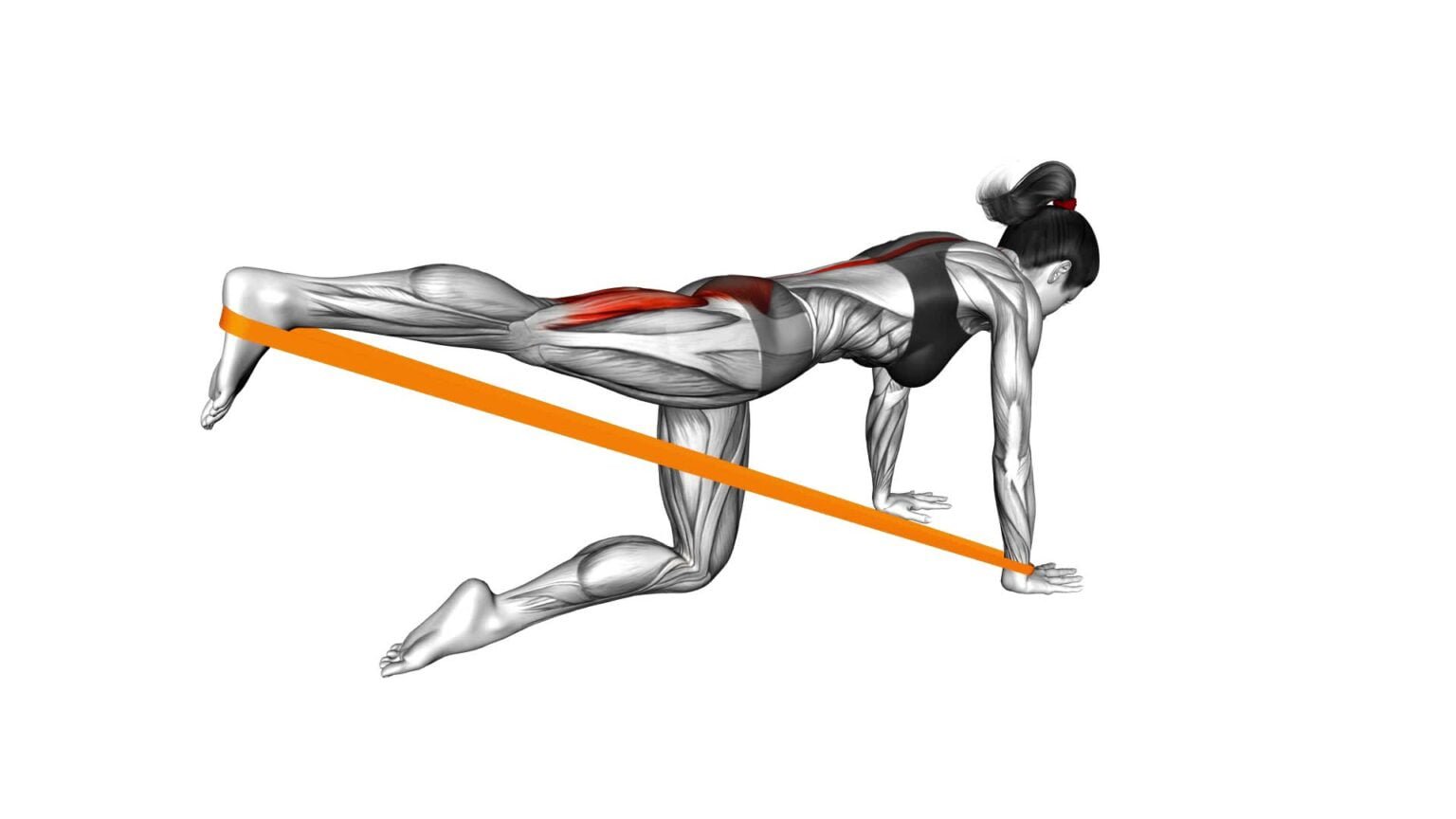 Resistance Band One Leg Kickback (Bent Position) (male) - Video ...