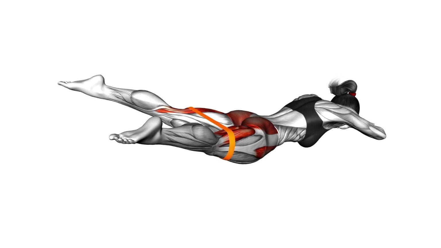 Resistance Band Lying Hyperextension Abduction (female) - Exercise ...