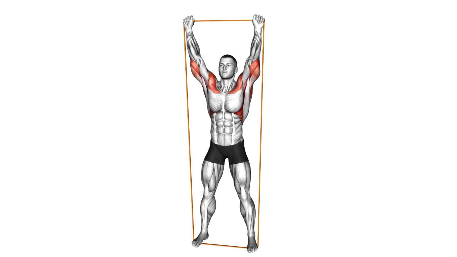 Resistance Band Shoulder Press - Video Guide & Tips