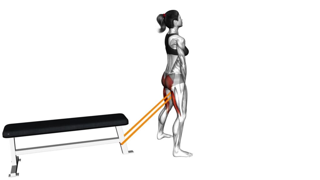 Resistance Band Pull Through Exercise Guide & Tips