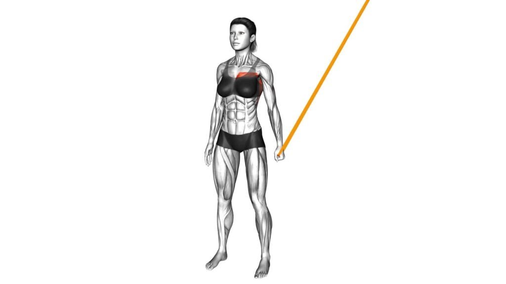 Shoulder Adduction: Video Guide & Tips For Effective Exercise