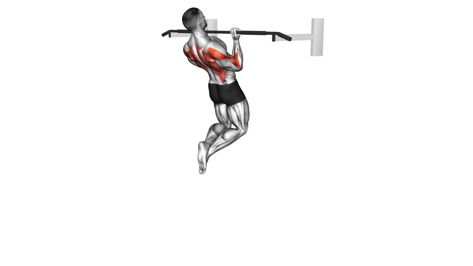 Master The Reverse Grip Pull-up: Video Guide & Expert Tips