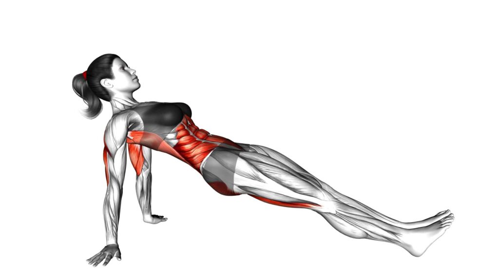 Reverse Plank (Female) - Ultimate Video Guide & Tips