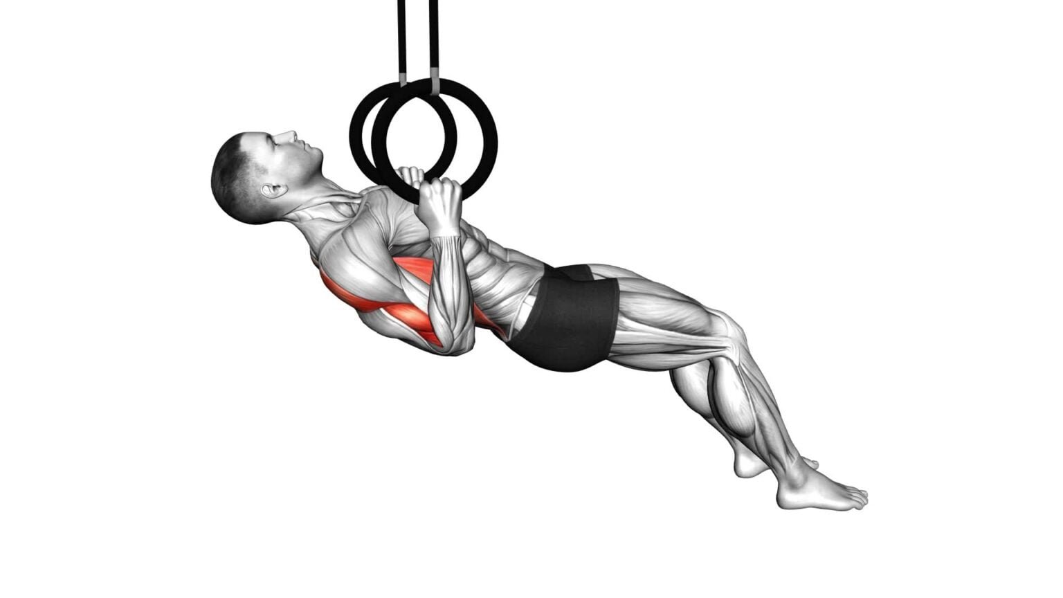 Ring Inverted Row (Female): Video Guide & Tips For Effective Upper Body ...