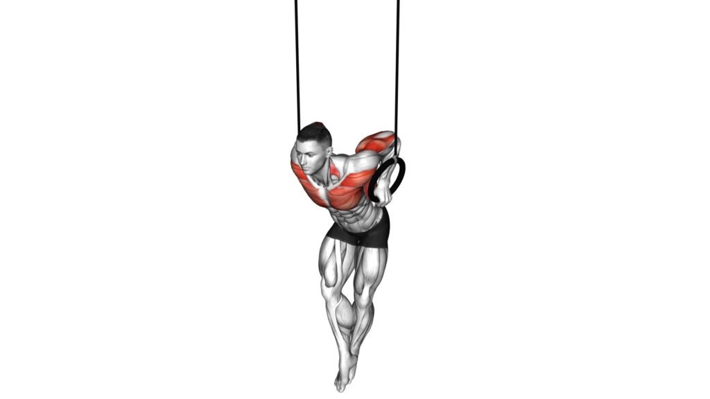 Ring Dip: Ultimate Exercise Guide & Pro Tips