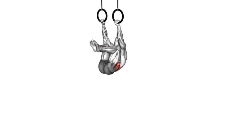 Ring Hanging Knees To Elbows: Ultimate Exercise Guide & Tips