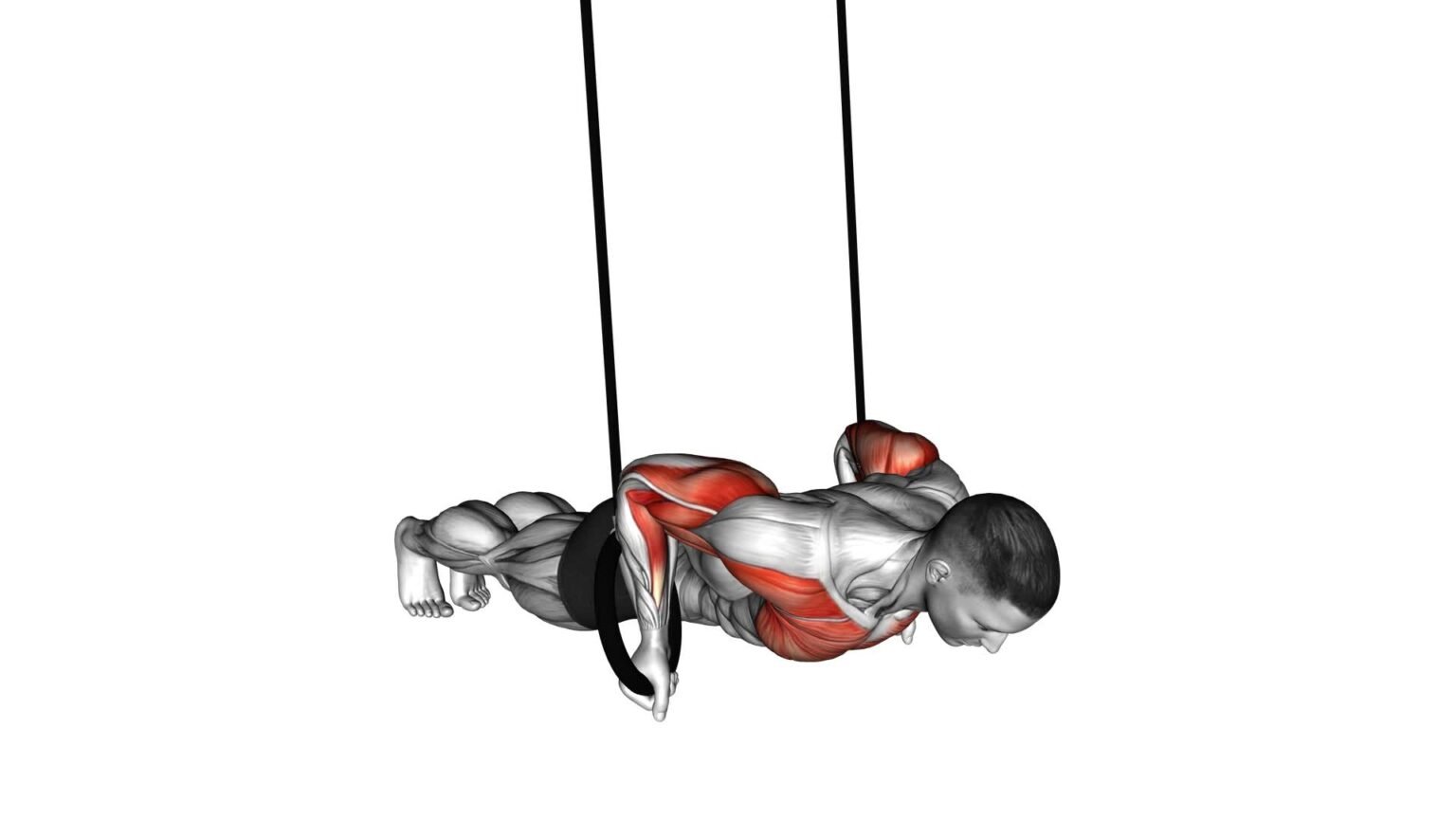 Exercises for Male - Workout Guru
