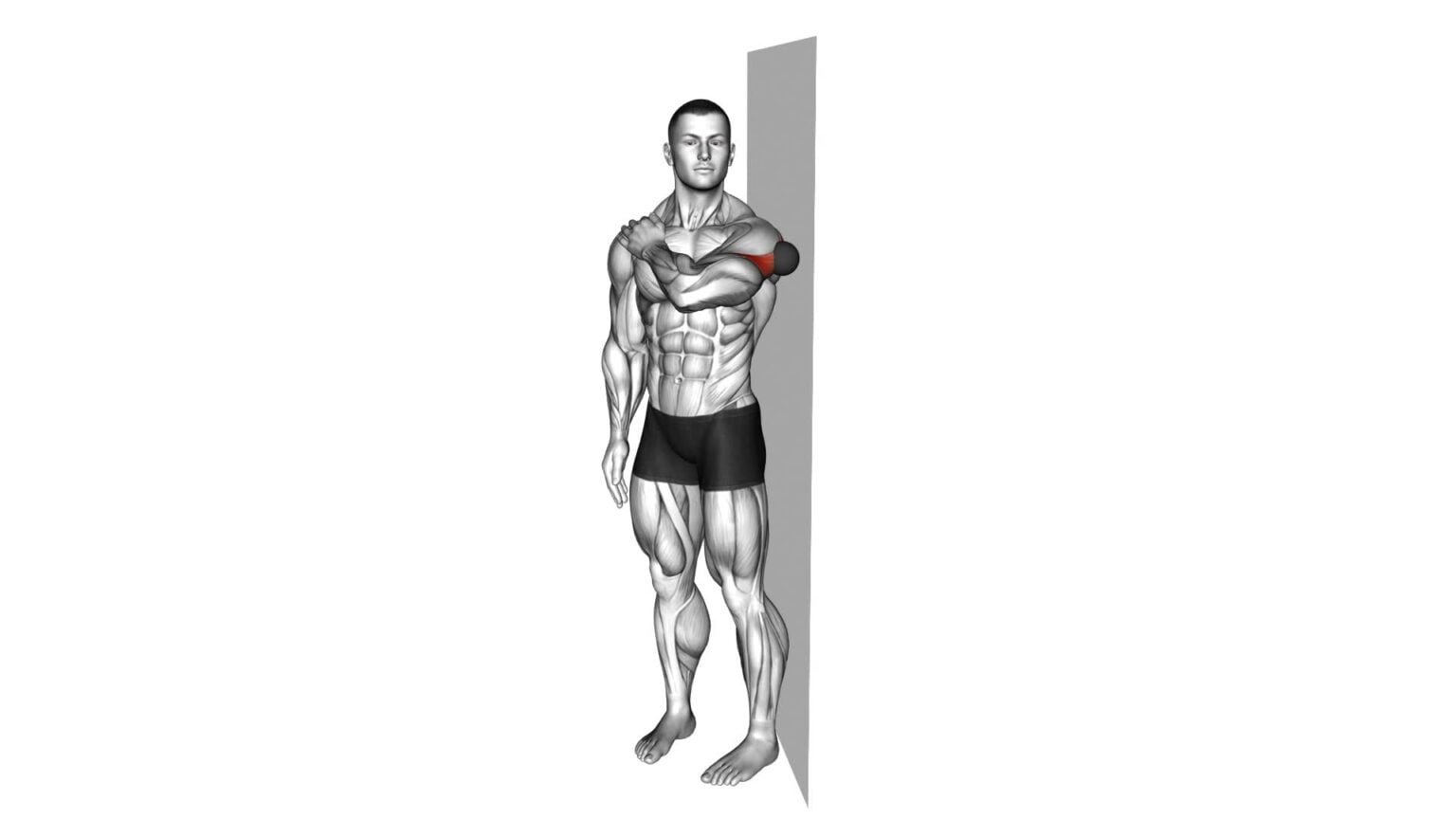 Roll Ball Deltoid Posterior: Ultimate Exercise Guide & Tips