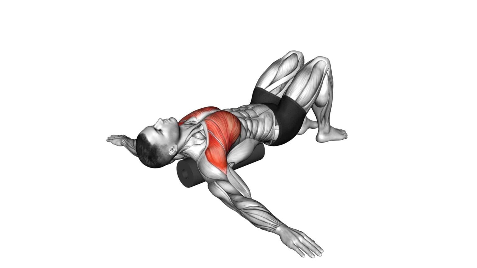 Floor Chest Opener: Video Guide & Tips For Effective Results