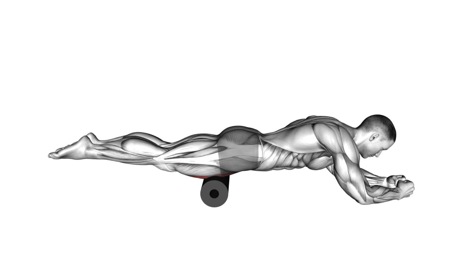 Rectus Femoris Workout: Video Guide & Tips For Stronger Legs