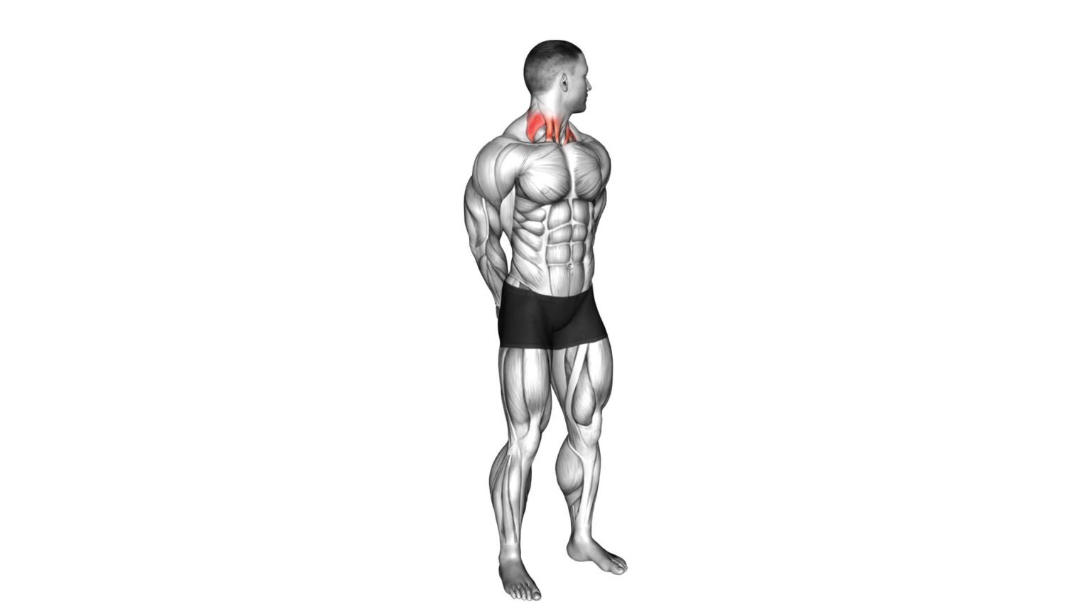 Rotating Neck Stretch: Video Guide & Tips For Effective Exercise