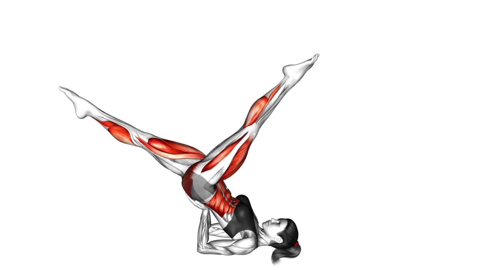 Female Scissors Exercise: Video Guide & Tips For Effective Workouts