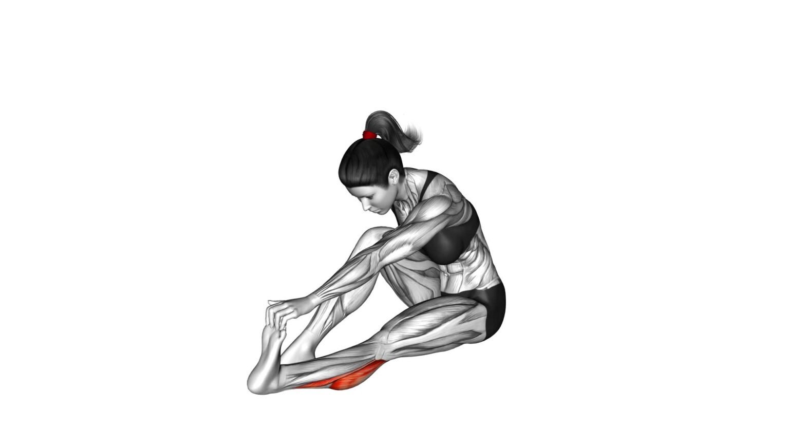 Seated Calf Stretch: Video Guide & Tips