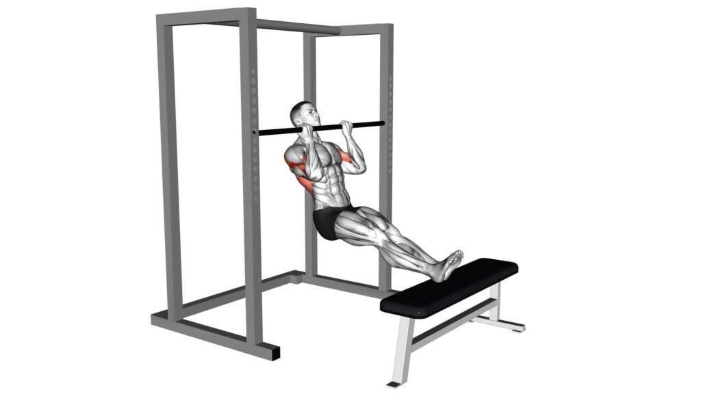 Unlock Your Fitness Potential With A Free Exercises Database