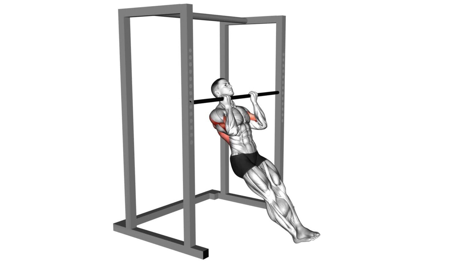 Seated Chin-Up (Legs Elevated) - Exercise Guide & Tips