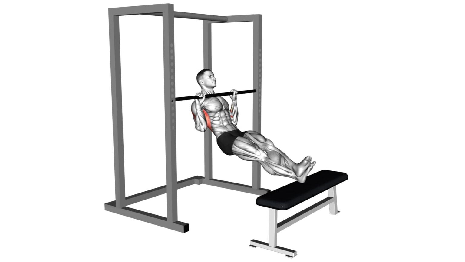 Seated Pull-up: Ultimate Video Guide & Expert Tips
