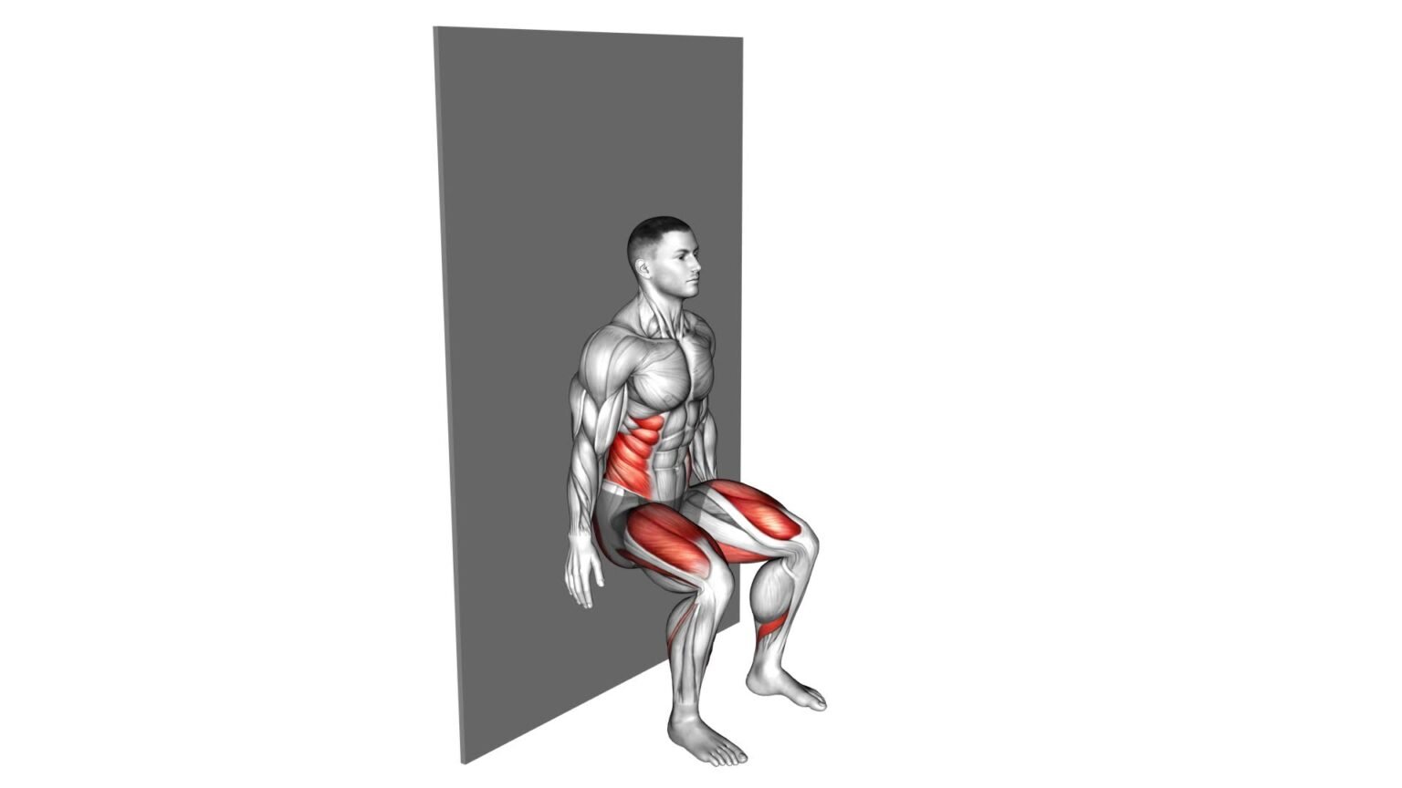 Seated Side Crunch (wall) - Exercise Guide & Tips