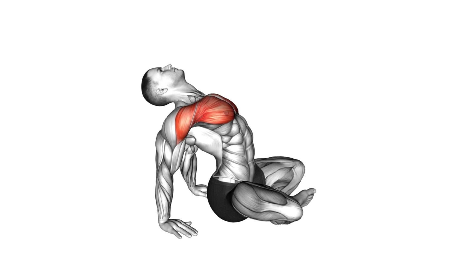 Squat Bounce Sky Punch (Male): Video Guide & Tips For Effective Exercise