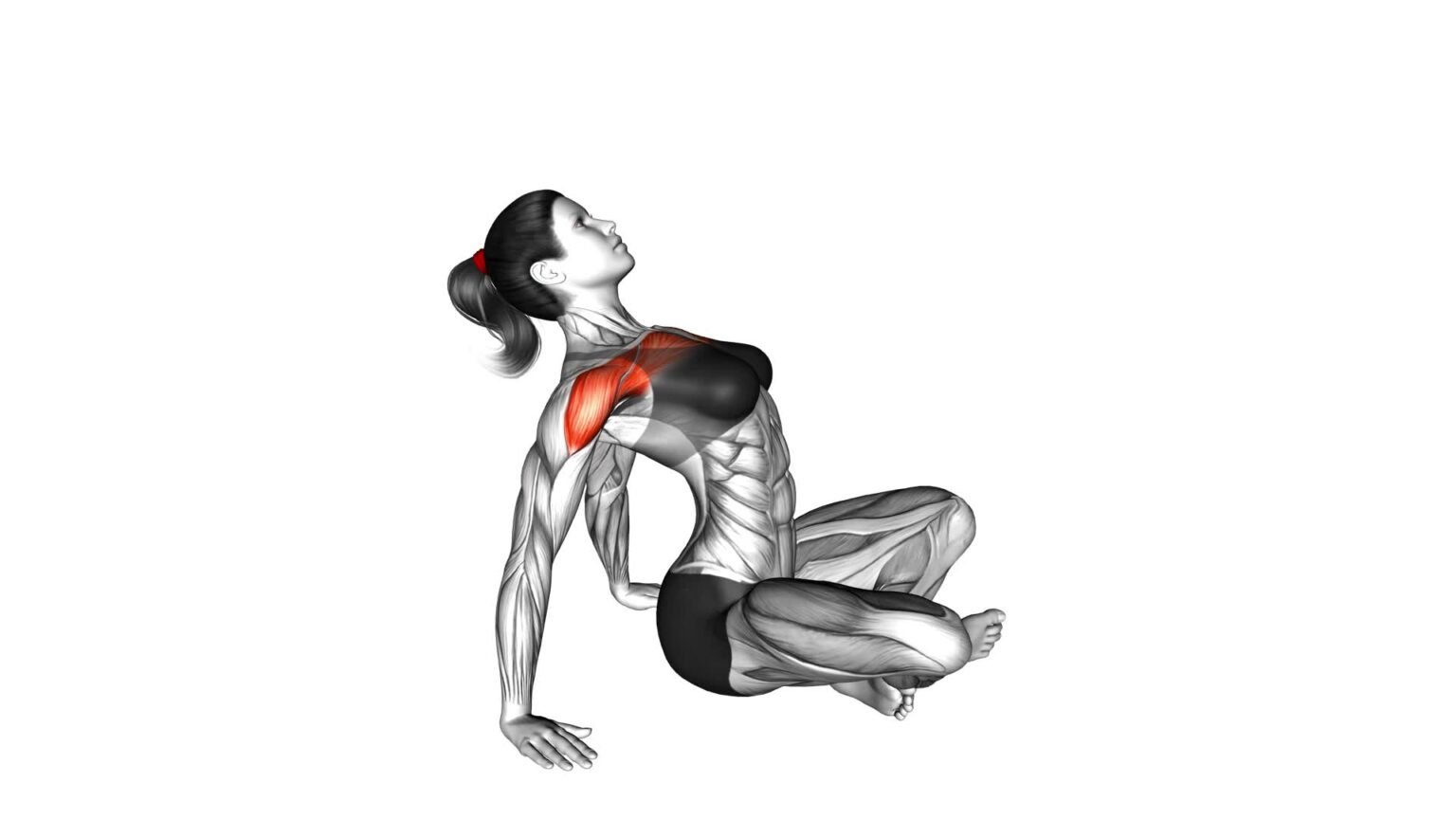 Seated Sky Look: Video Exercise Guide & Tips For A Stronger Core