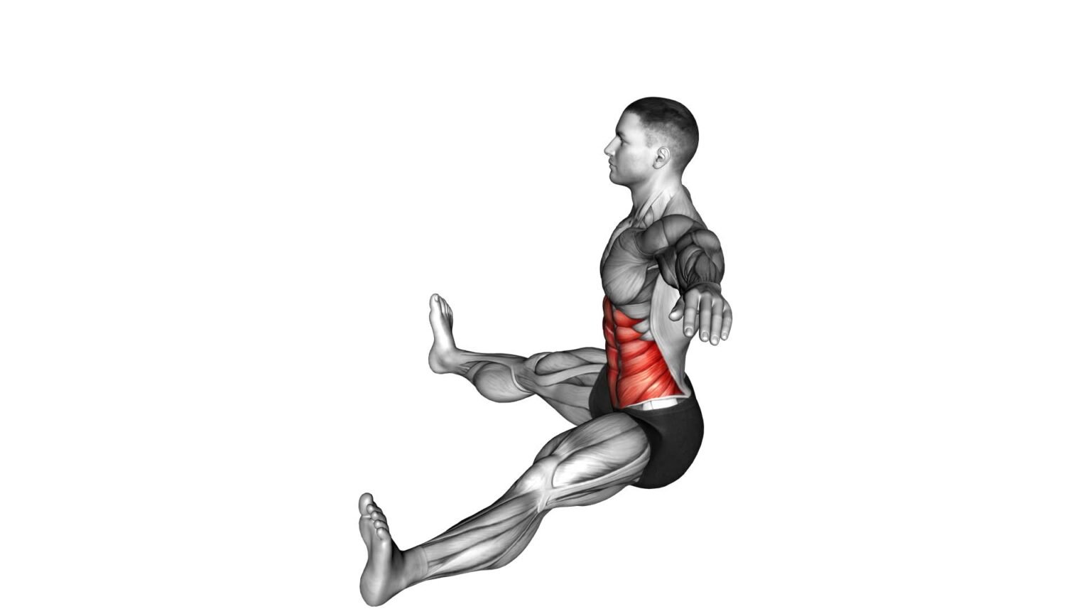 Seated Twist (straight Arm) - Exercise Guide & Tips