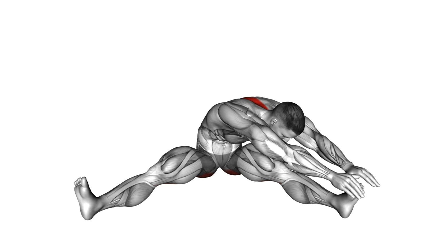 Seated Wide Angle Pose: Video Guide & Tips